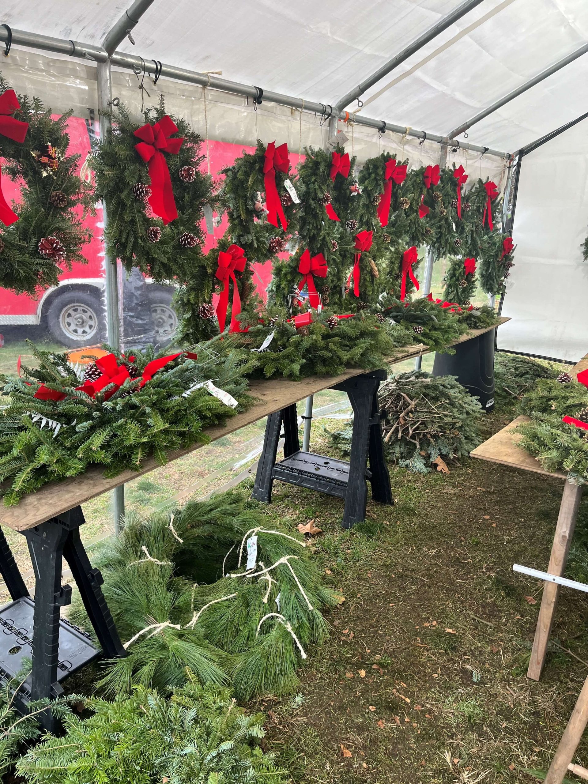 Fred's Christmas Trees in Rockland Country, NY